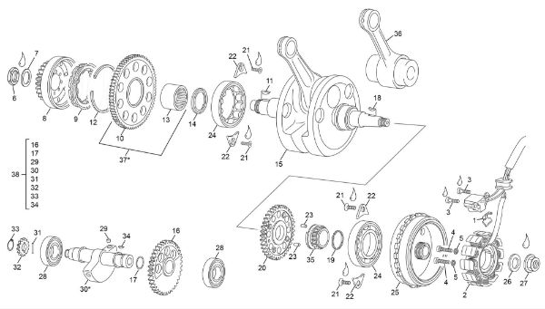 Sherco. 19 - Crankshaft Assembly - , Sherco