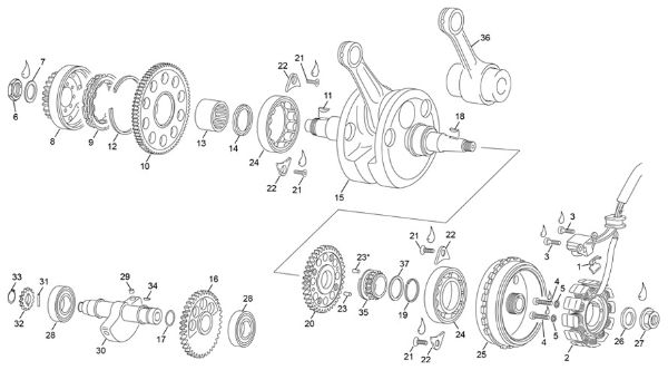 Sherco. 19 - Crankshaft Assembly - , Sherco